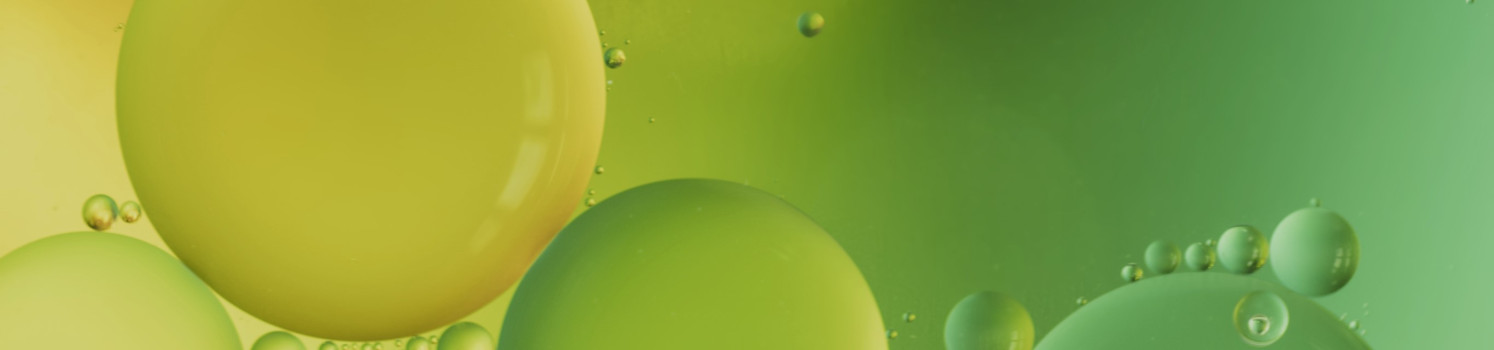 Biodiesel Business | BBGI