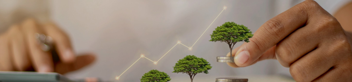 Economic Dimension | BBGI