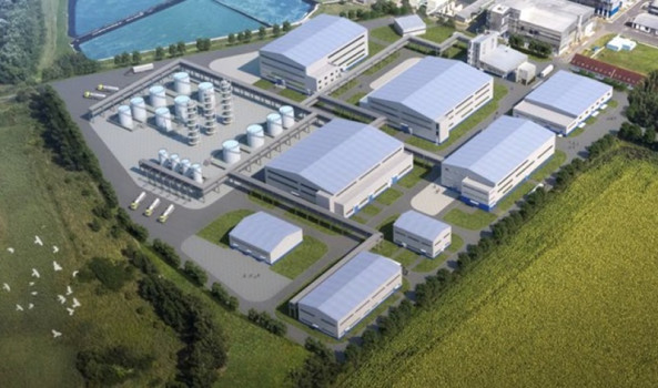 BBGI teams up with Conagen on sustainable bioproduction joint venture ...